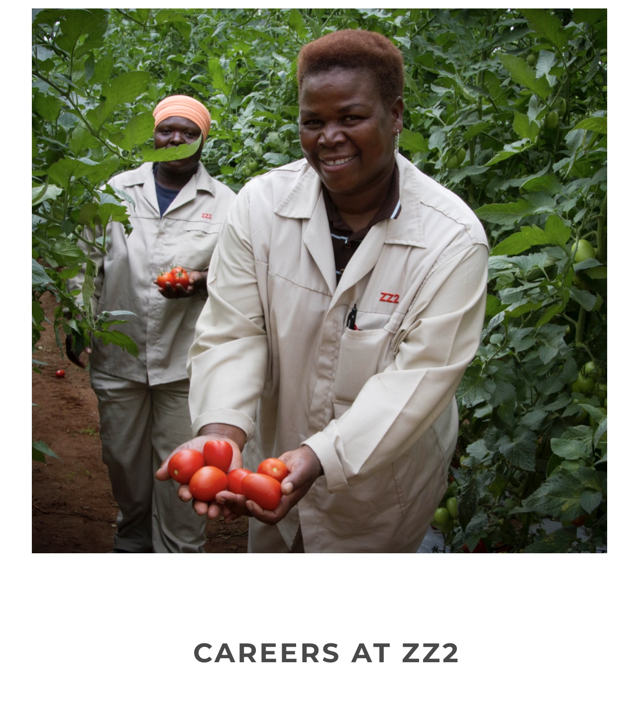 Careers At ZZ2