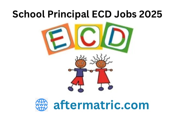 School Principal ECD Jobs 2025