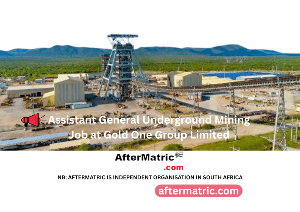 Assistant General Underground Mining Job at Gold One Group Limited